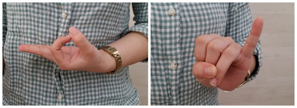 Japanese Horn Gestures